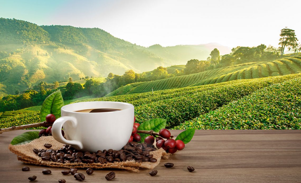 Países con el mejor café del mundo: cuál es el mejor - Viajeros ...